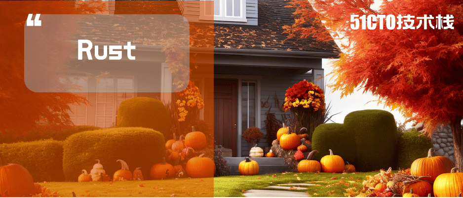 Rust、Zig，能够干翻Java、C？_语言_代码_因为