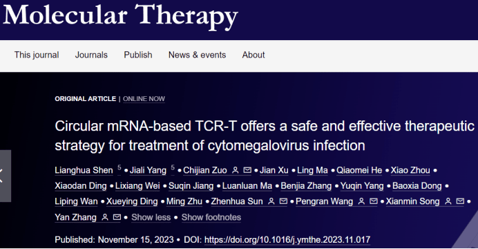 首个基于circRNA的TCR-T细胞疗法！优于线性mRNA，助力TCR筛选和T细胞工程，有效控制巨细胞病毒感染长达18天_环状_moDC_抗原