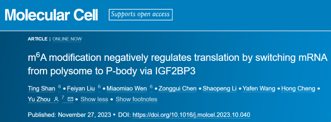 Mol Cell | 武汉大学周宇团队发现m6A修饰通过调控mRNA分流到P-body而调控翻译_mRNAs_调节_研究