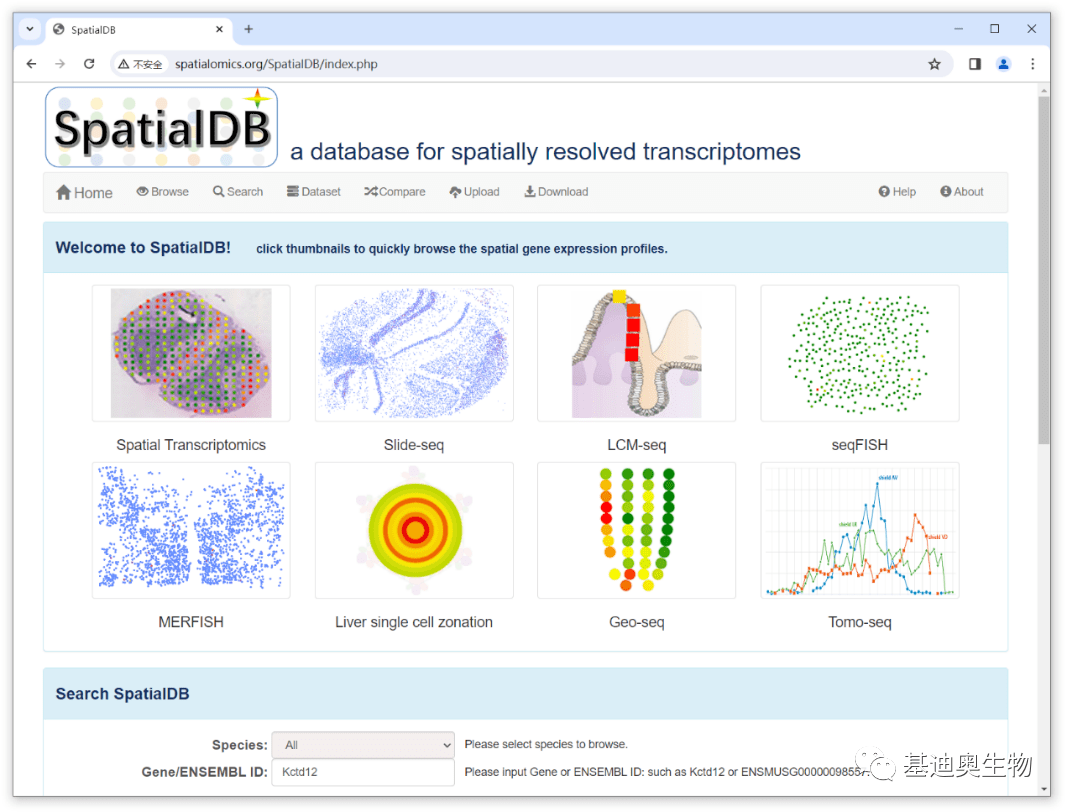 再分享一个国产空间转录组数据库_SpatialDB_菜单_信息