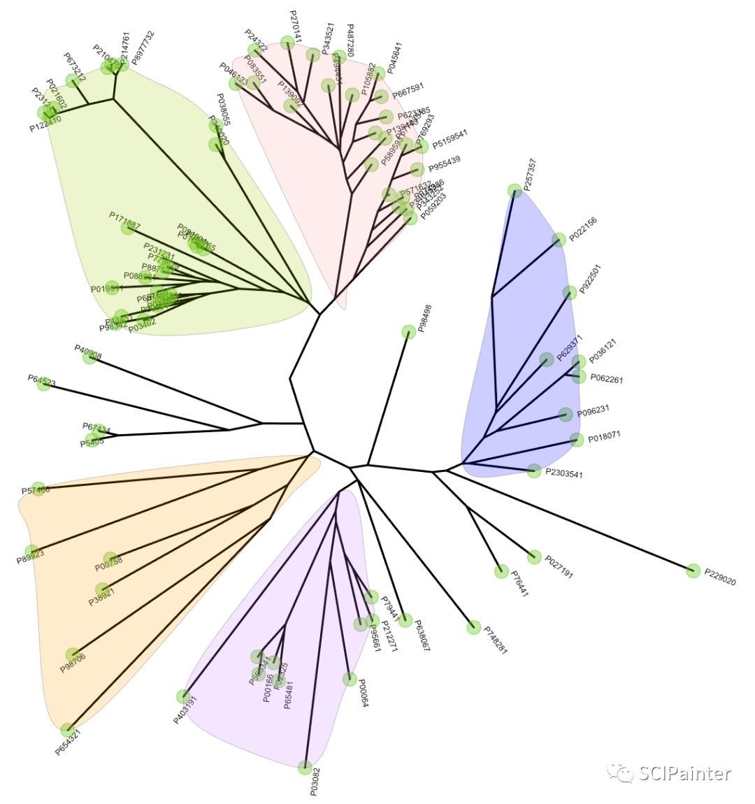 分享10种进化树构建美化相关的教程_Blast_ggtree_One